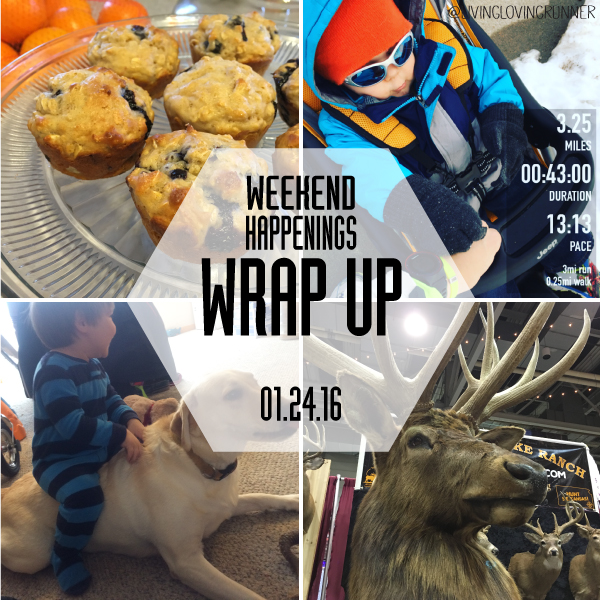 long run + big buck expo | Weekend Wrap – livinglovingrunner