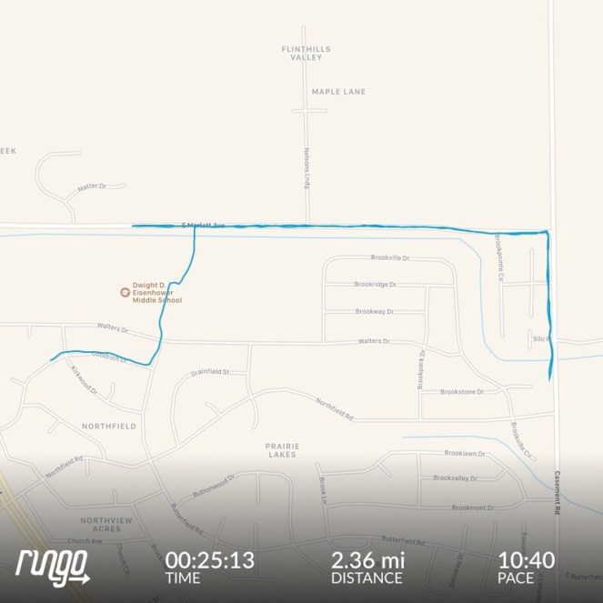 RunGo App | Review – livinglovingrunner