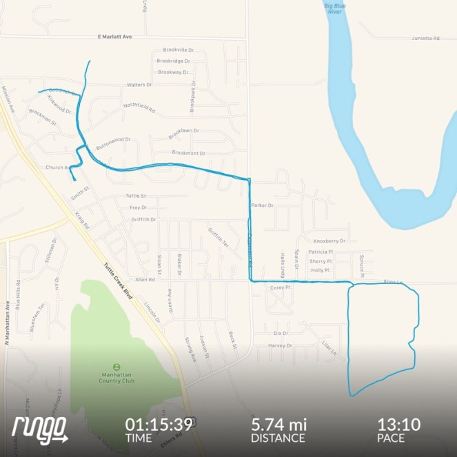RunGo App | Review – livinglovingrunner