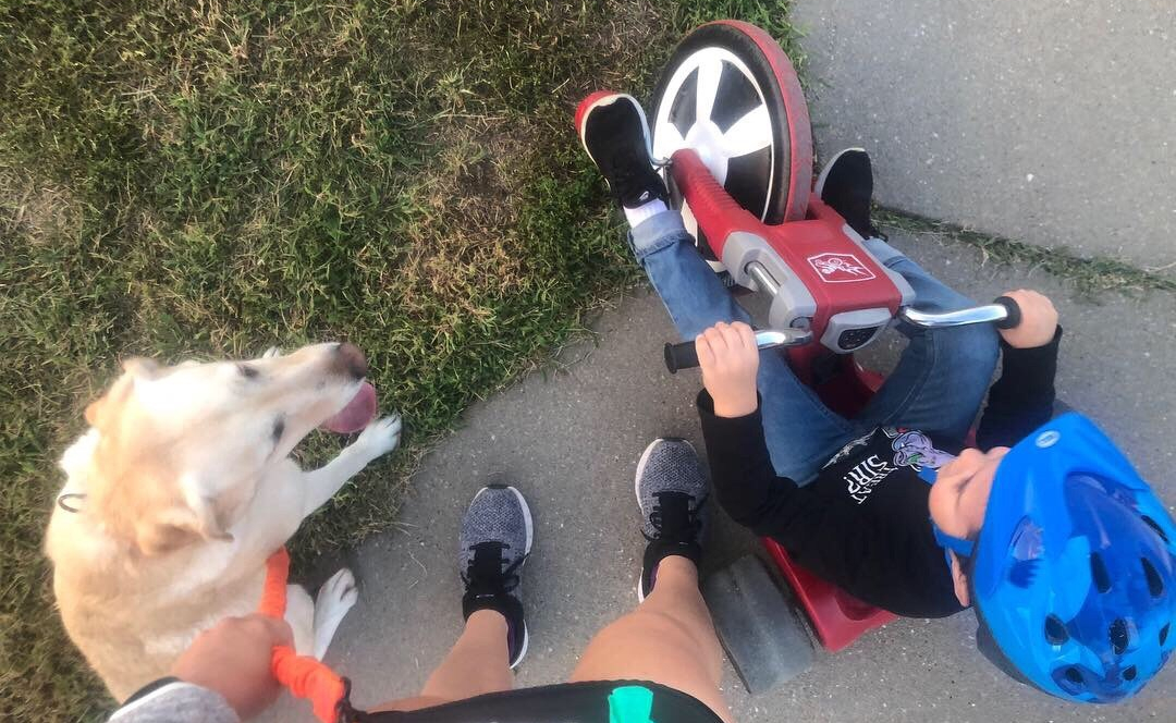 virtual run | Scooby-Doo Doo Good 5K – livinglovingrunner