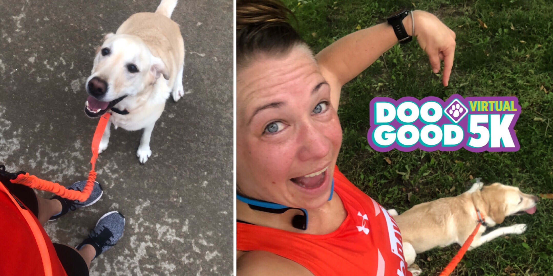 virtual run | Scooby-Doo Doo Good 5K – livinglovingrunner