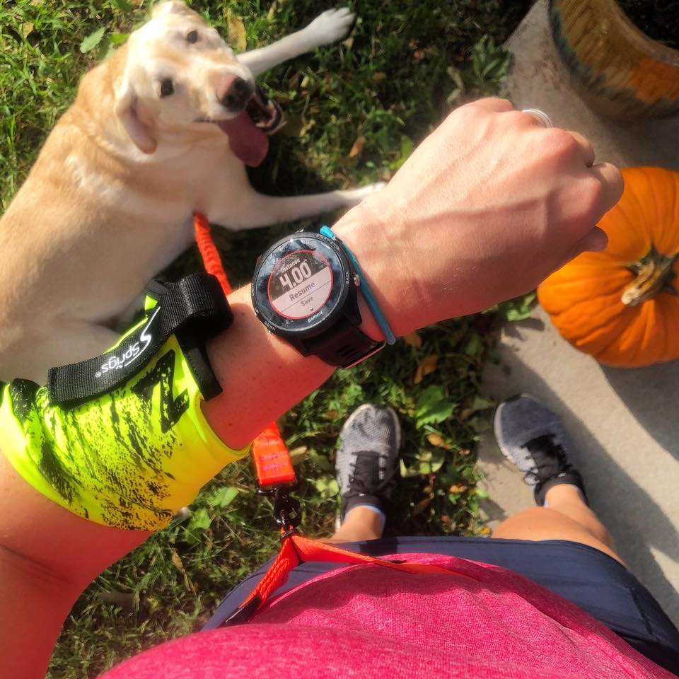 keep moving | Scooby-Doo Scoobtober 5K/10K – livinglovingrunner