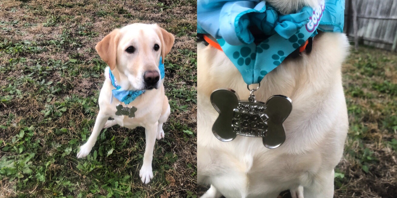 just another week | Scooby-Doo Scoobtober 5K/10K – livinglovingrunner