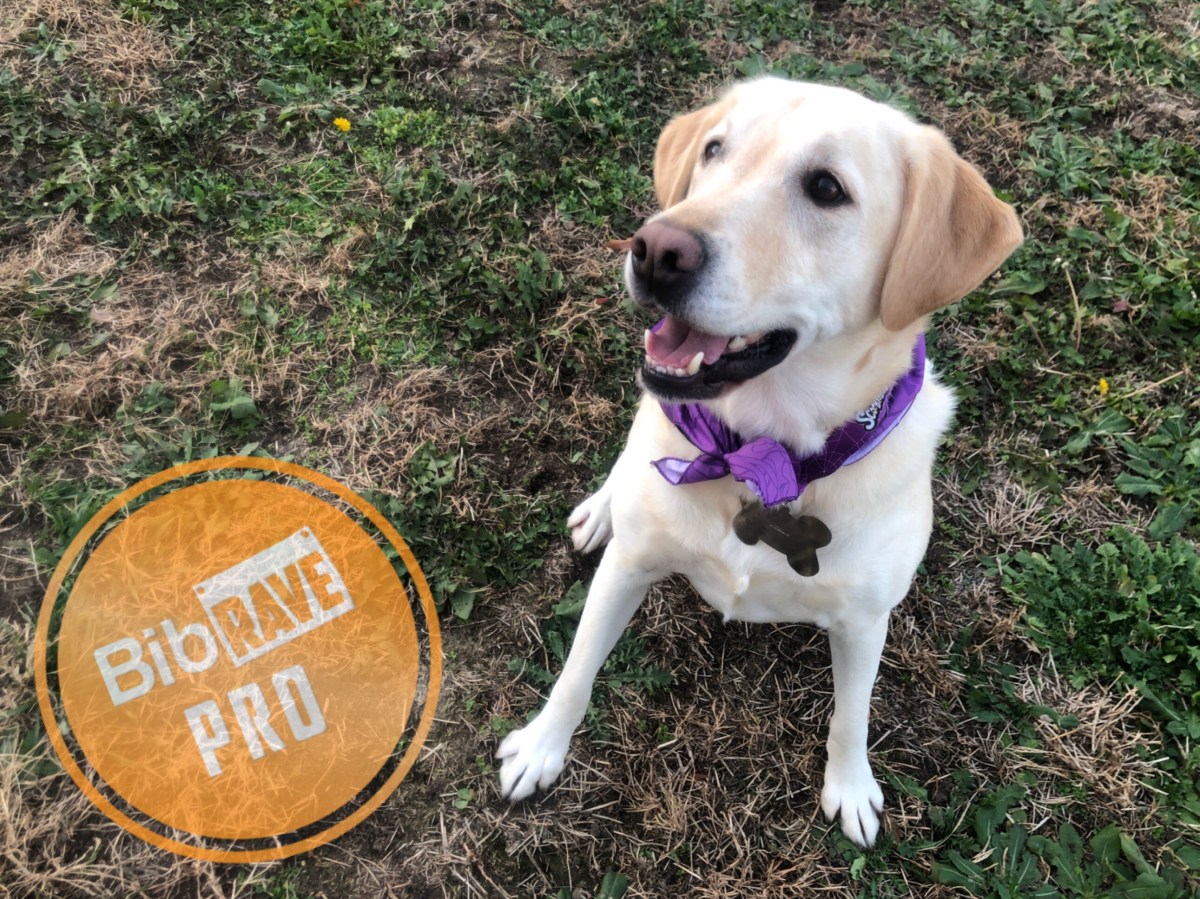 virtual run | Scooby-Doo Scoobtober 5K/10K – livinglovingrunner